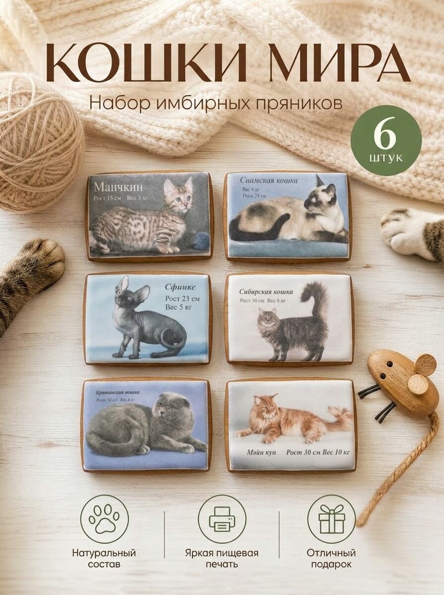 Кошки. Подарочный набор имбирных пряников.