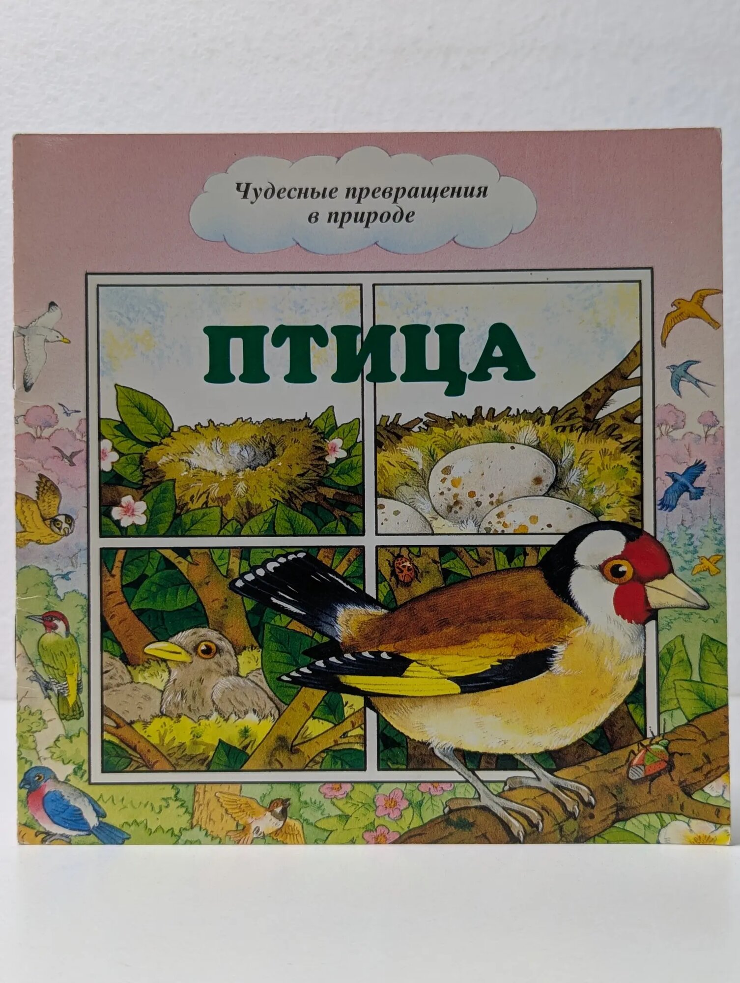 Чудесные превращения в природе. Птица Баттерфилд Мойра 1998
