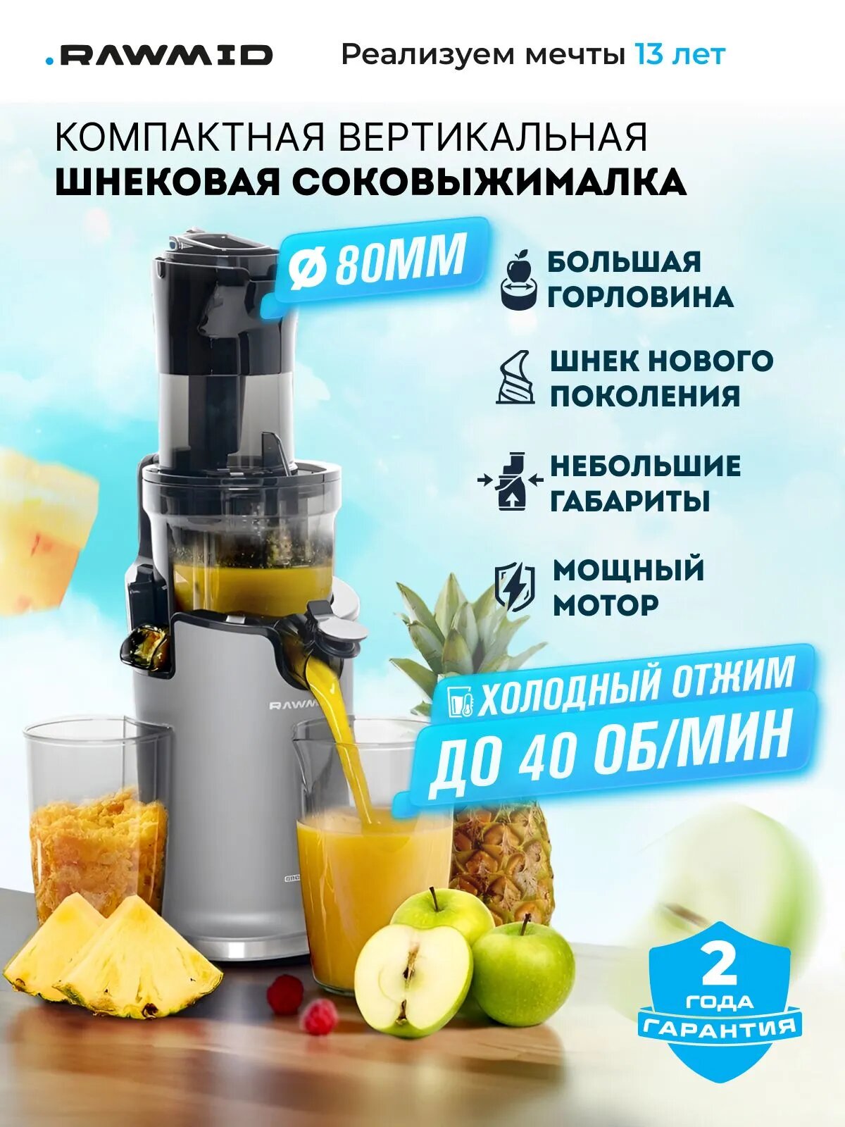 Соковыжималка шнековая электрическая мощная RAWMID Greenery RGJ-04 / Холодный отжим, горловина 80мм, 40 об/мин, серая