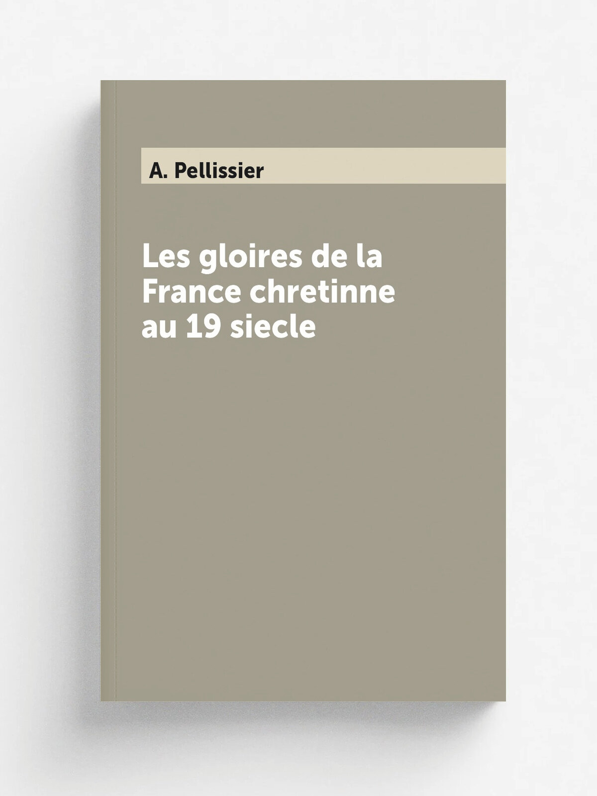 Les gloires de la France chretinne au 19 siecle