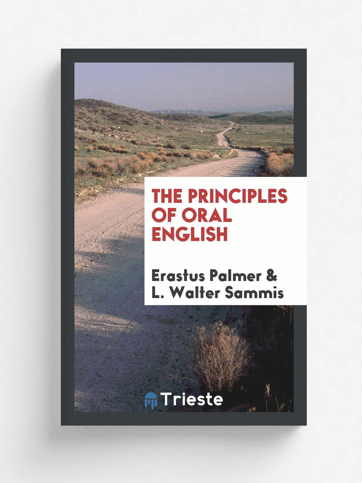 The principles of oral English