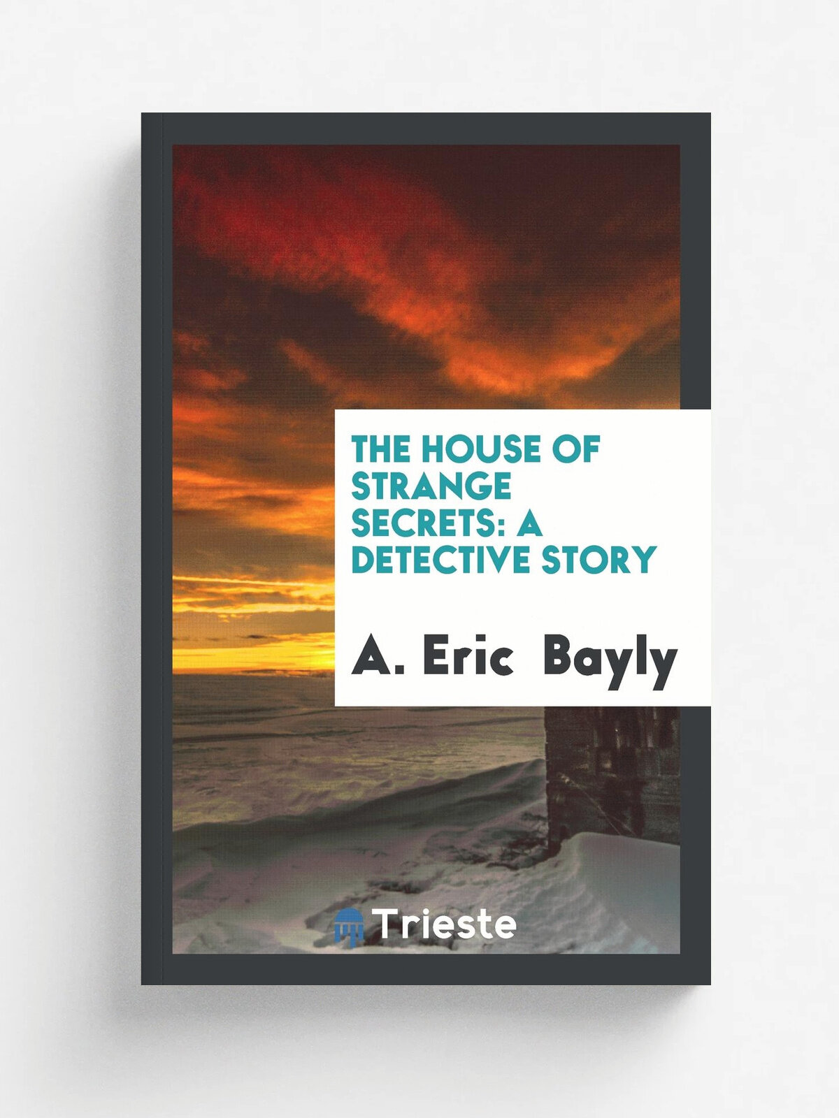 The House of Strange Secrets. A Detective Story