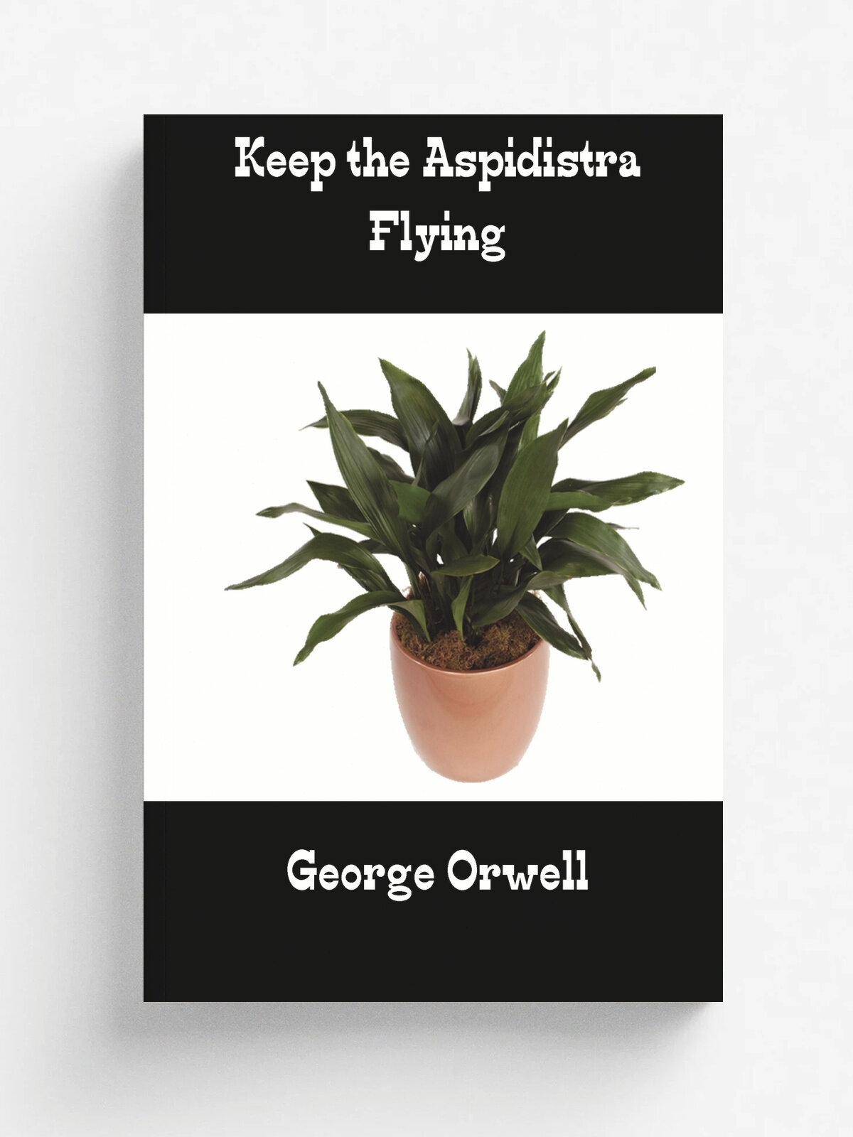 Keep the Aspidistra Flying