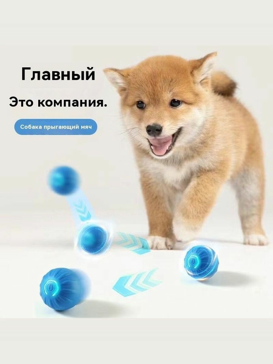Интерактивные игрушки для собака, умный собачий мячик для собак