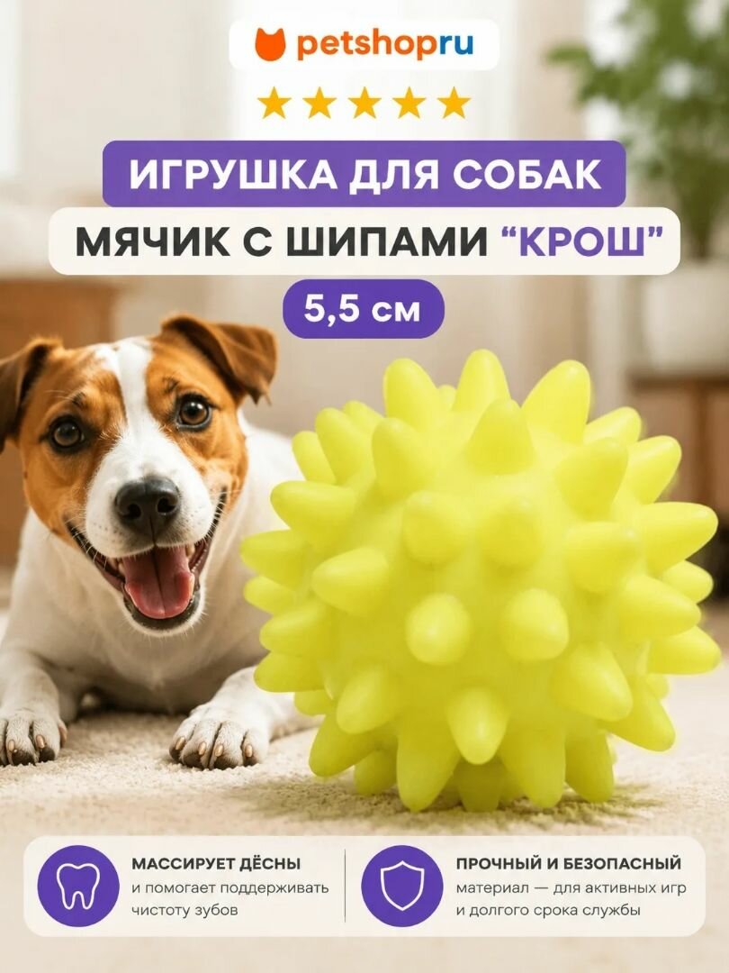 PETSHOP Игрушка для собак мячик с шипами "Крош", 5,5 см