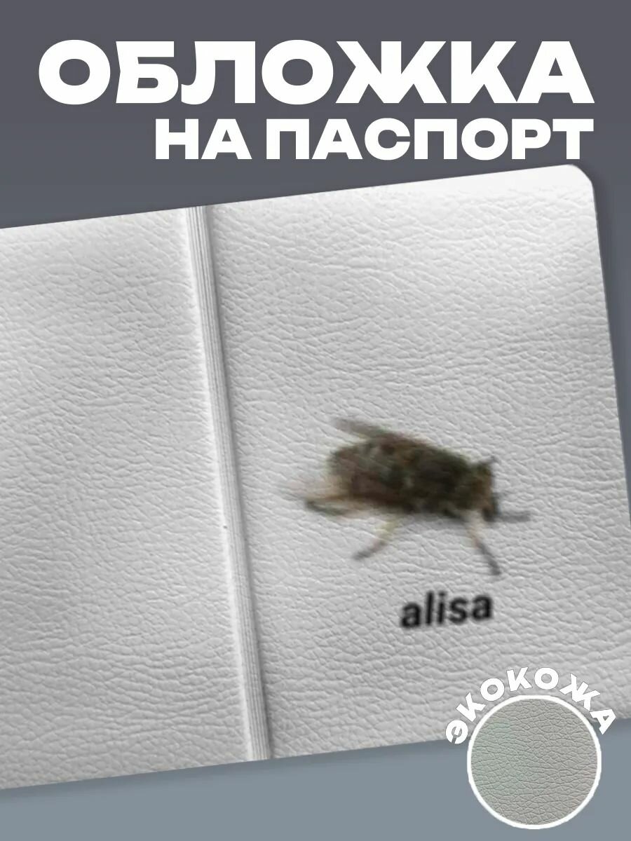 Обложка для паспорта