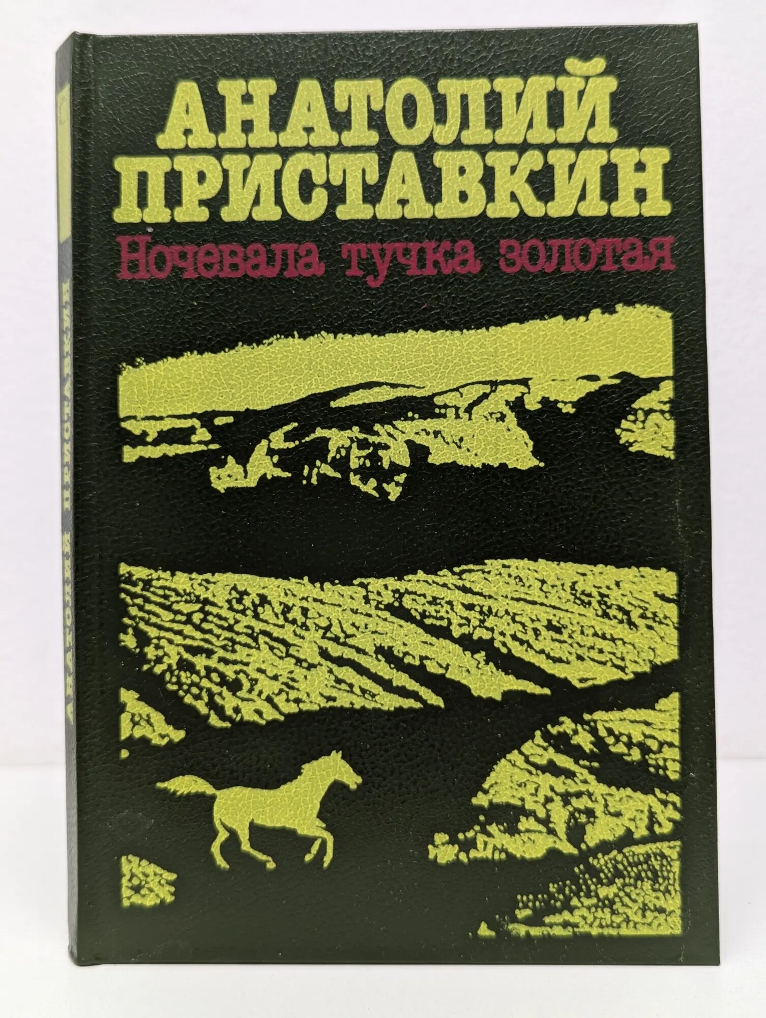 Популярная библиотека. Ночевала тучка золотая Приставкин Анатолий Игнатьевич 1990