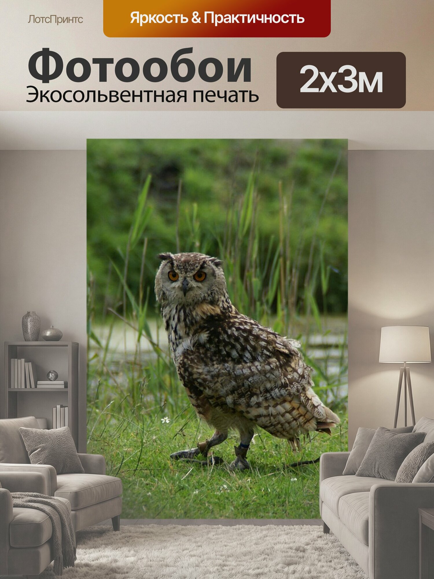 Фотообои "Hoenderdaell, рок филин, сова" 200x300 см. экосольвентная печать