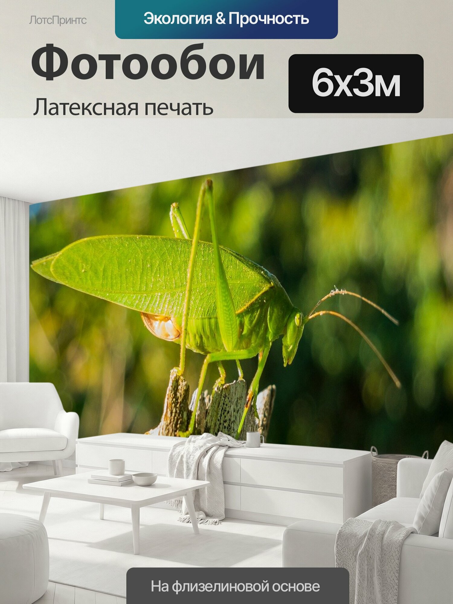 Фотообои моющиеся ударопрочные "Кузнечик, закрывать, зеленый" 600x300 см. латексная печать