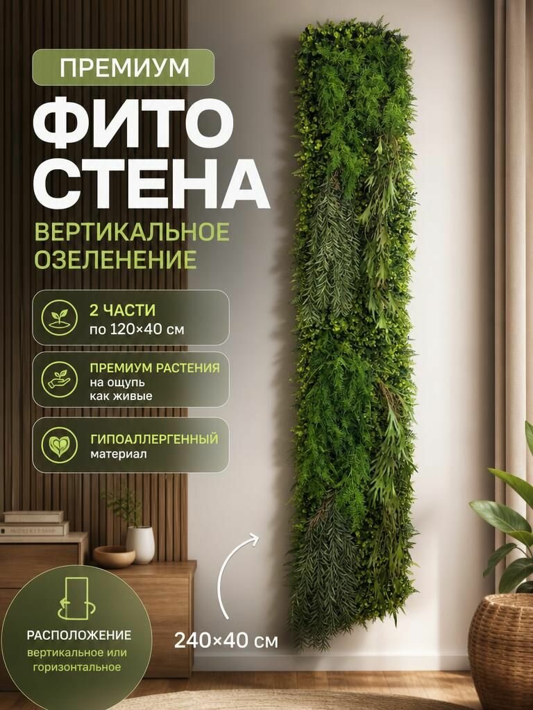 Фитостена декоративная модульная из эвкалипта и папоротника в размере 240х40 см
