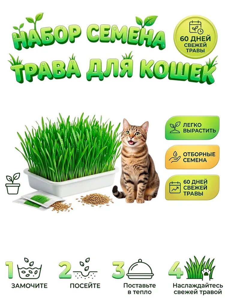 Трава для кошек и других питомцев