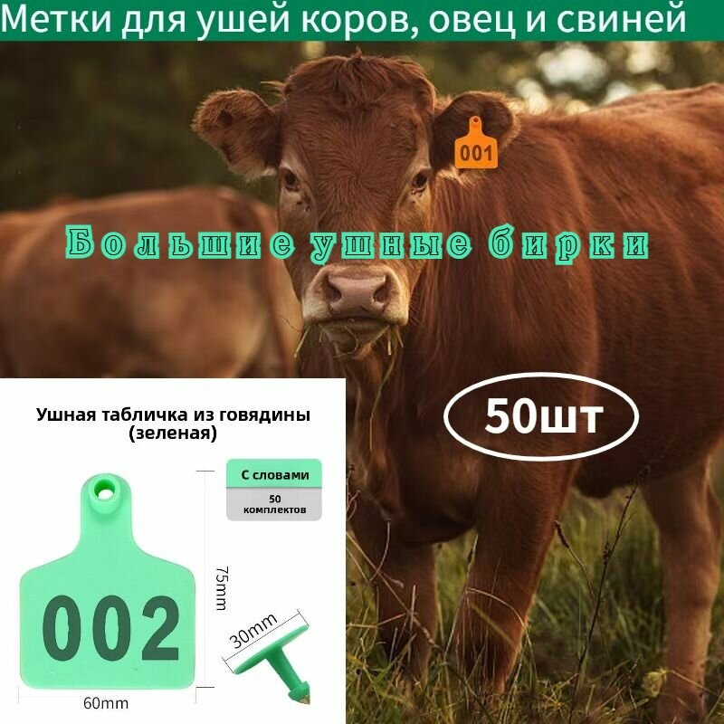 Ушные бирки для животных с номерами Метки для маркировки КРС-(50шт)-зеленый