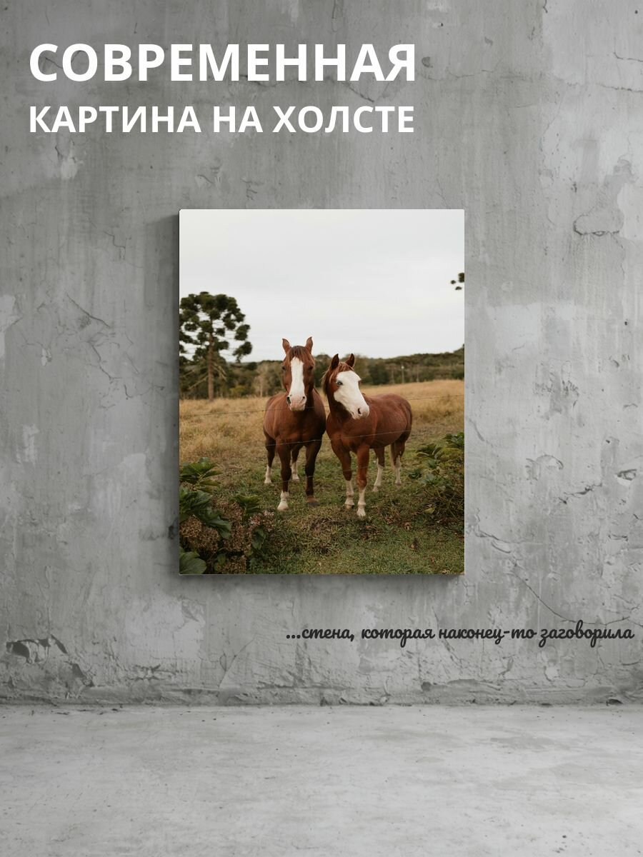 Картина на холсте Две лошади 60x80 см