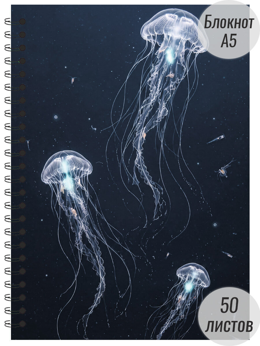 Блокнот Медузы, эстетика море, jellyfish