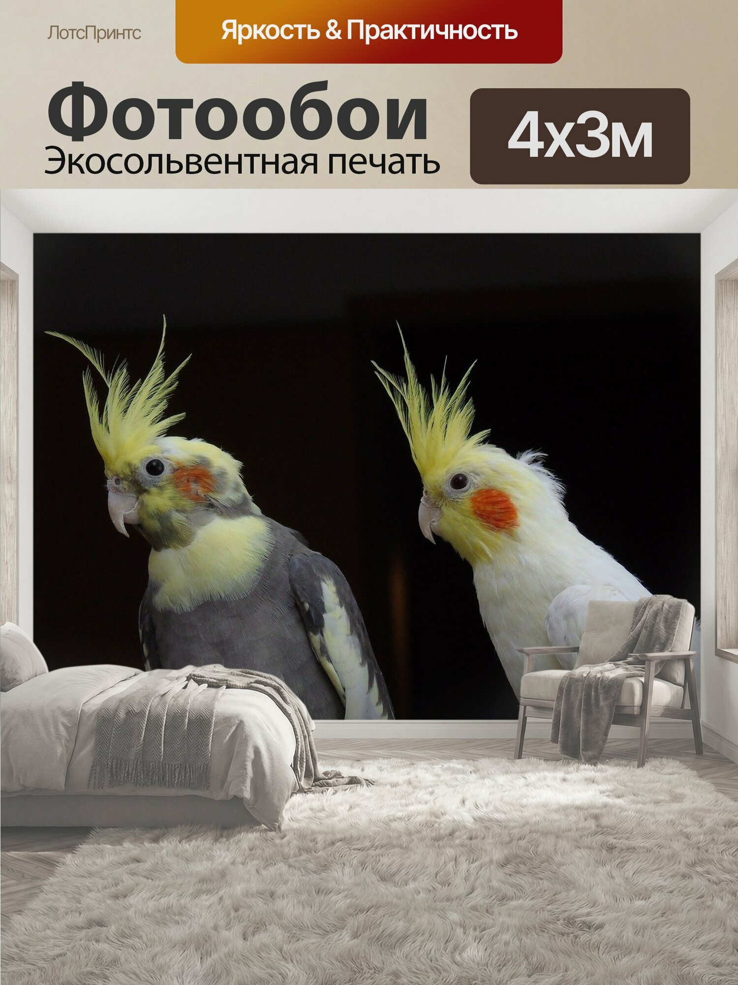 Фотообои "Корелла, попугай, какаду" 400x300 см. экосольвентная печать