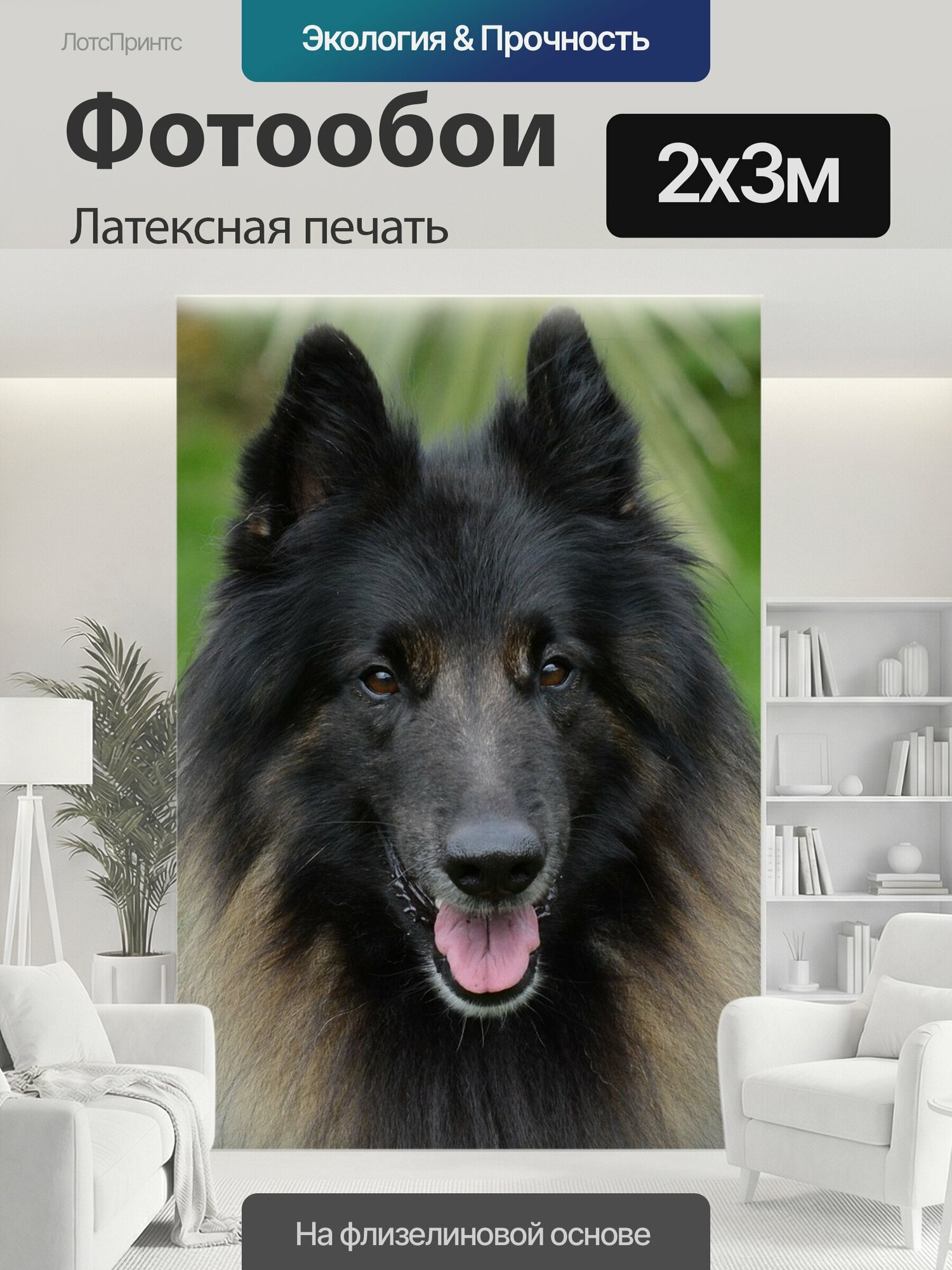 Фотообои моющиеся ударопрочные "Бельгийский, пасти, собака" 200x300 см. латексная печать