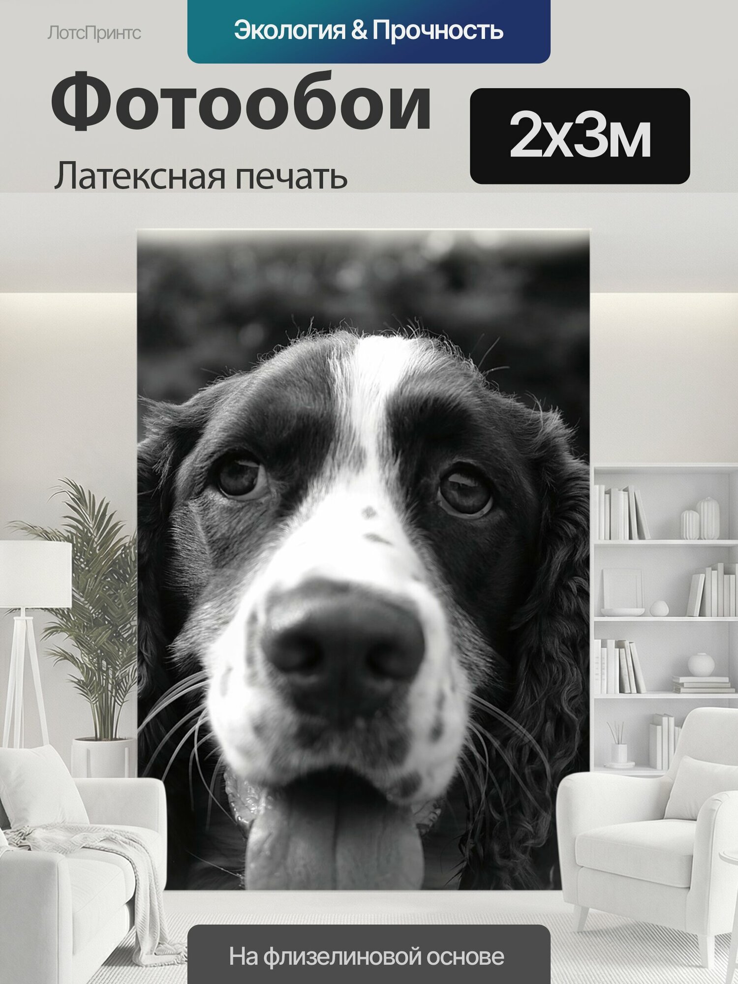 Фотообои моющиеся ударопрочные "Спаниель, английский, собака" 200x300 см. латексная печать