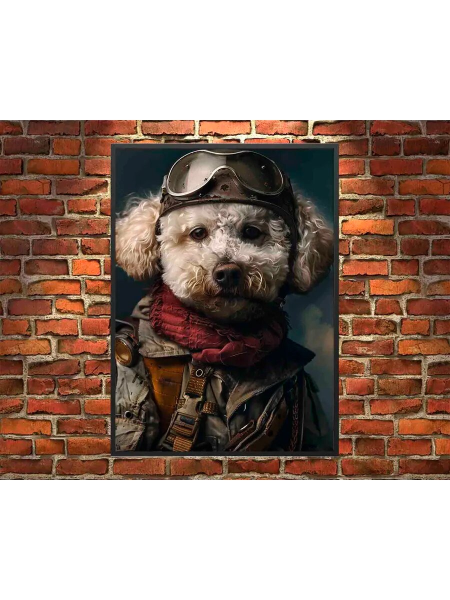 Бишон-Фризская собака-солдат 1, Плакат 30x42см