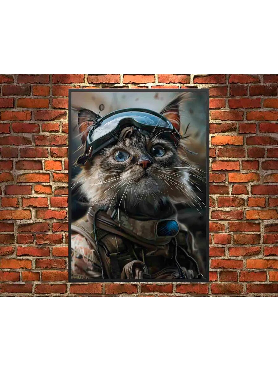 Балийский кот-солдат 4, Плакат 30x42см