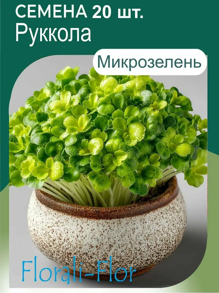 Семена Руккола микрозелень