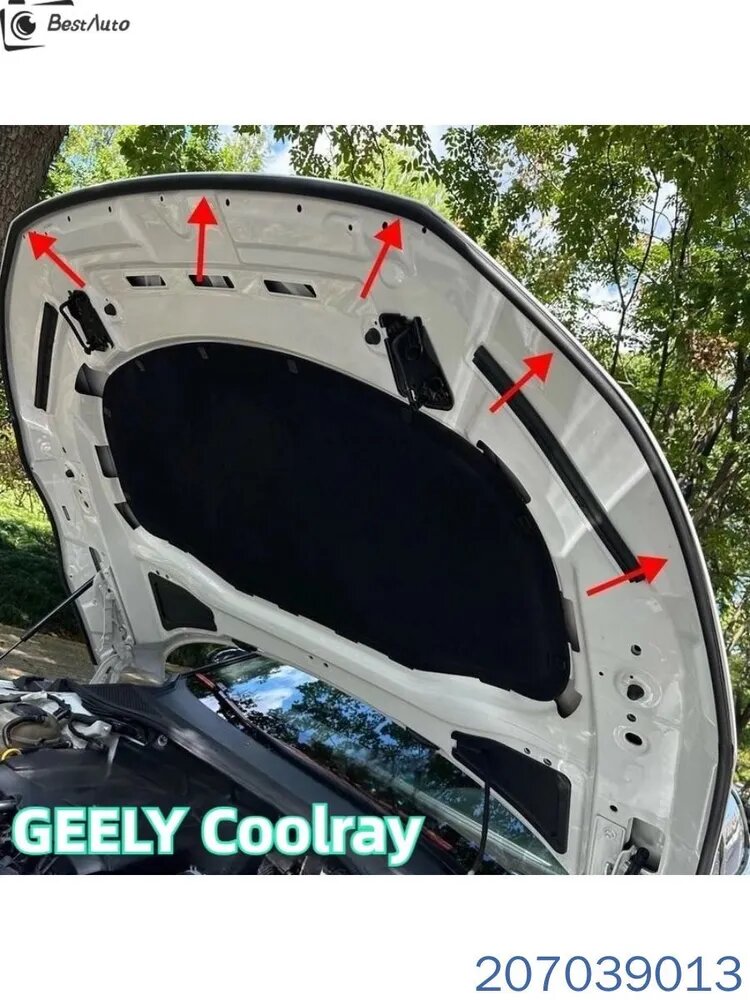 Geely Coolray Уплотнительная полоса капота, Geely Coolray аксессуары