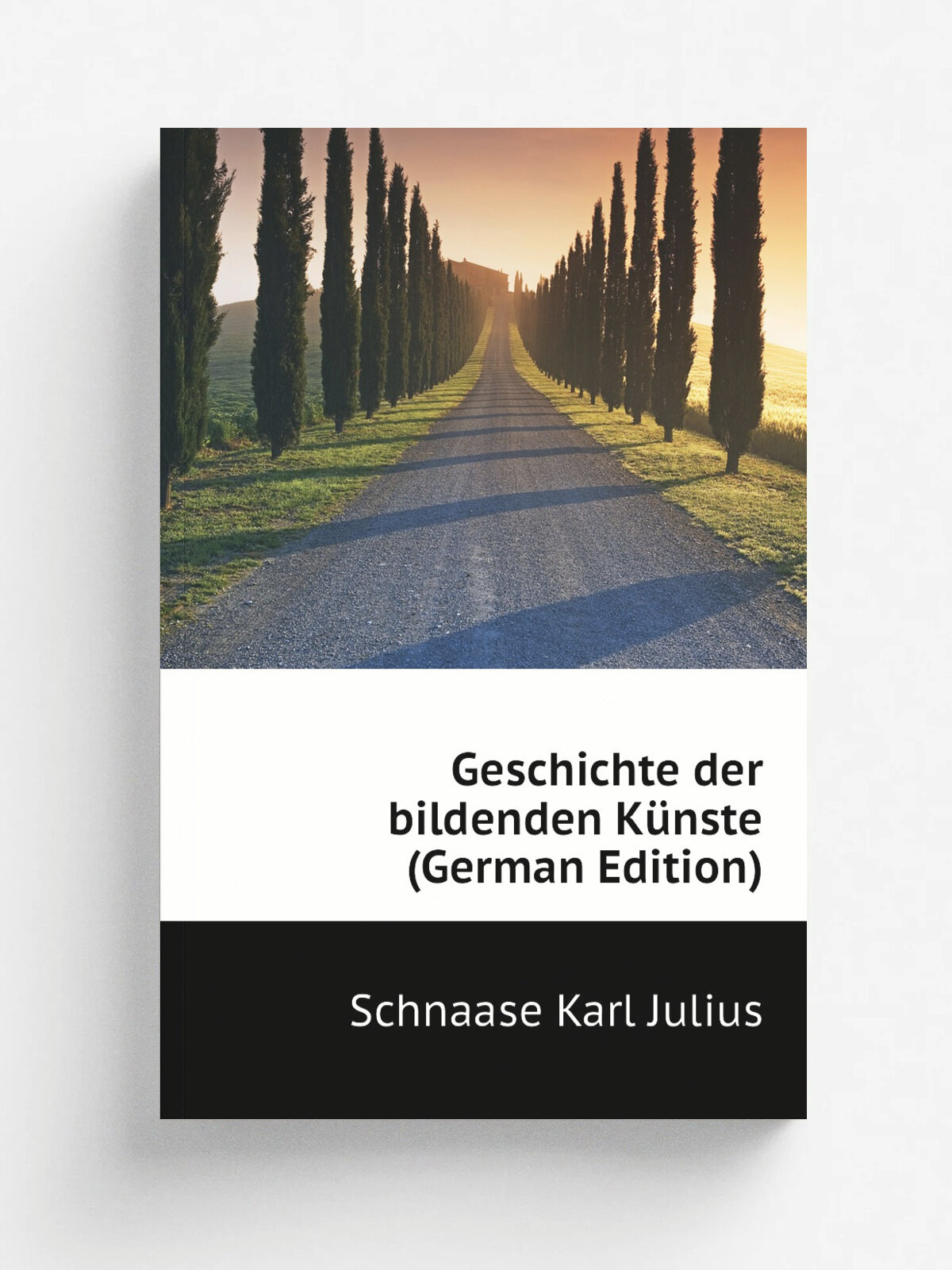 Geschichte der bildenden K.nste (German Edition) | Schnaase Karl Julius | Репринт