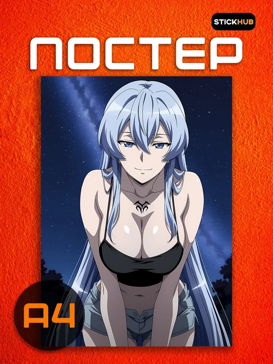 Постеры на стену интерьерные Эсдес, Akame ga Kill