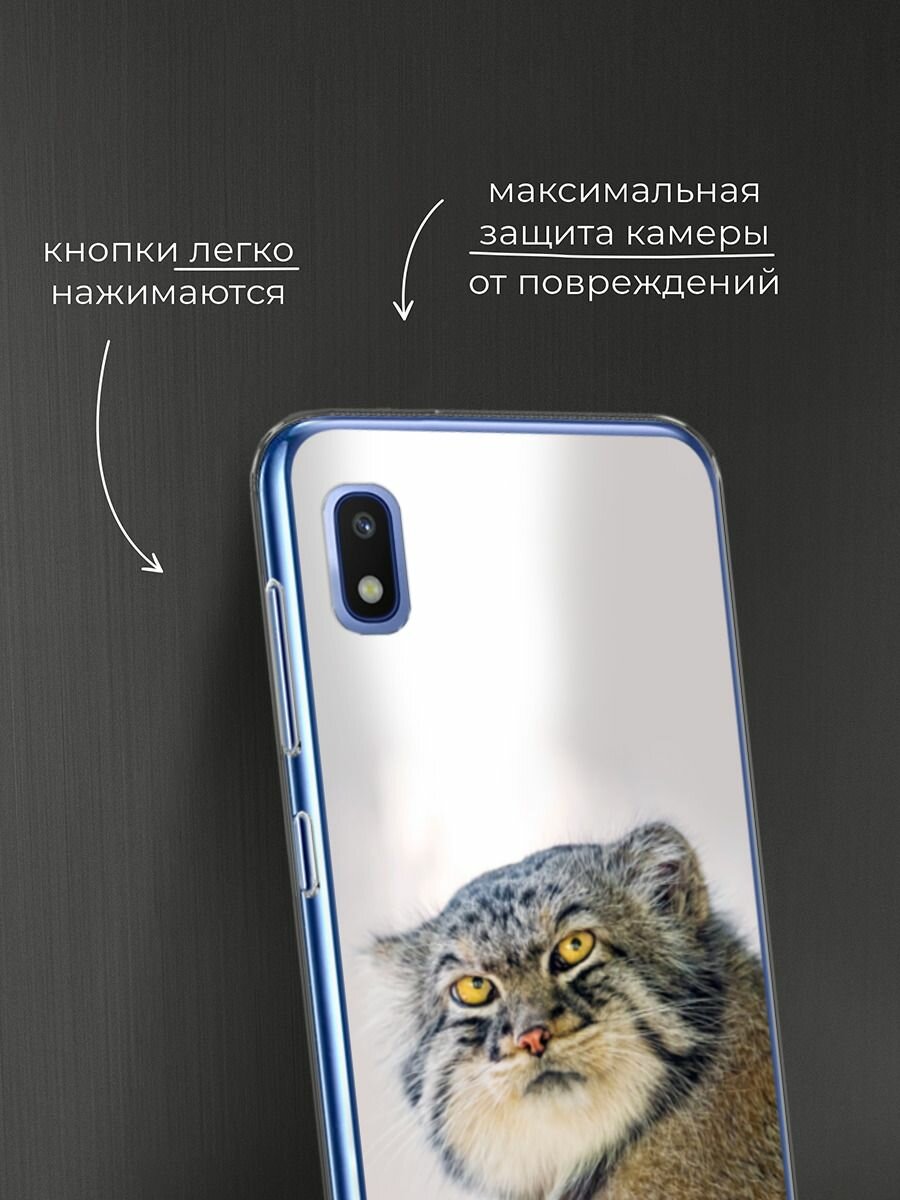 Чехол на Samsung Galaxy A10 / Самсунг Галакси А10 с принтом "Кот манул 1" — фото 1