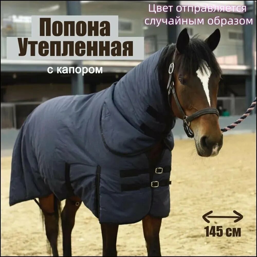 Попона для лошади