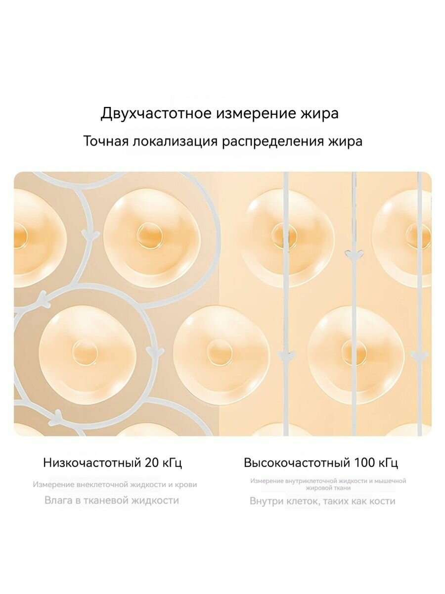 Напольные весы — фото 1
