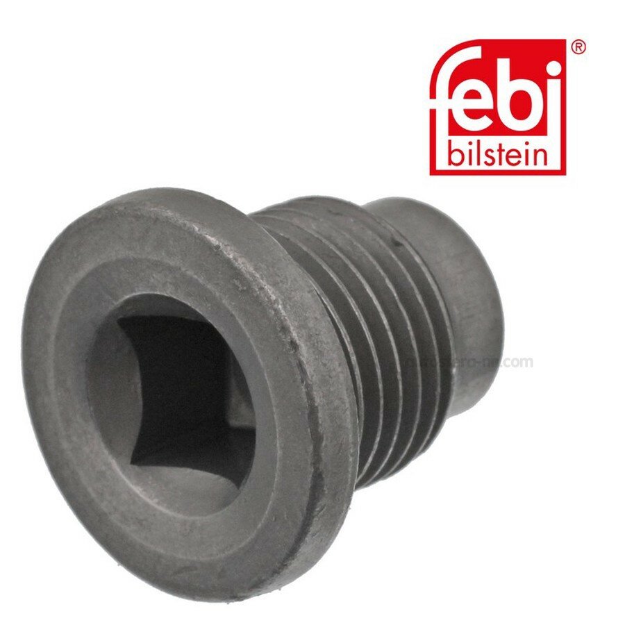 FEBI 48880 пробка поддона!\ Renault Logan/Sandero/Duster 1.4-1.6/1.5DCi 04>