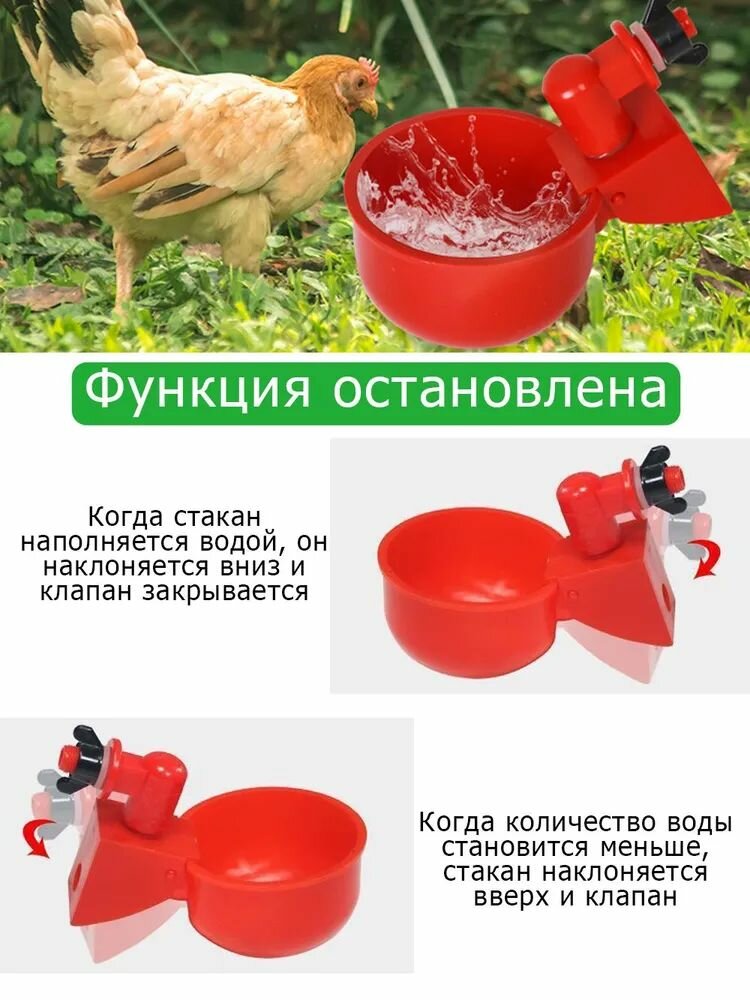 Чашечная поилка для птиц 10шт. Автопоилка для кур несушек, цыплят бройлеров, уток, гусей, утят