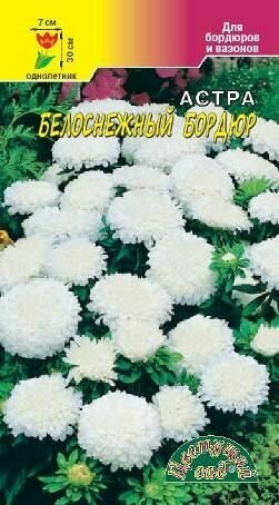 Семена Астра Бордюр Белоснежный