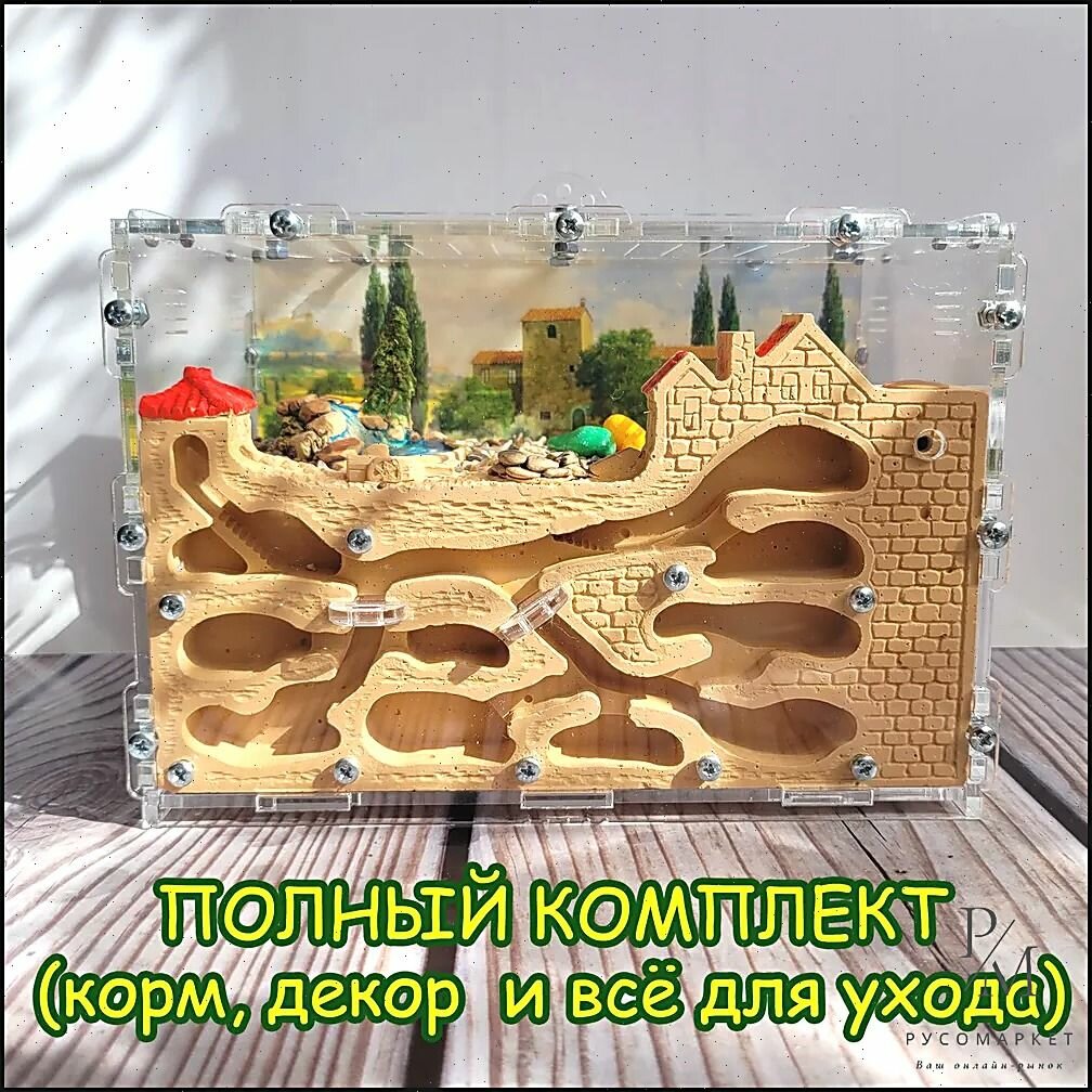 Муравьиная ферма