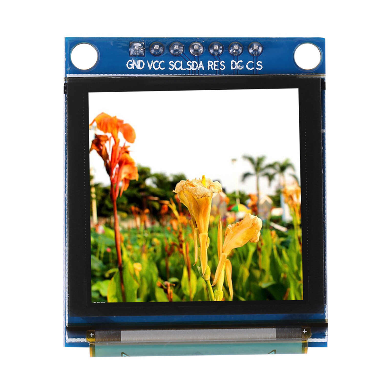 1,5 дюйма OLED -цветового модуля 128*128 SSD135 Серийный периферийный интерфейс