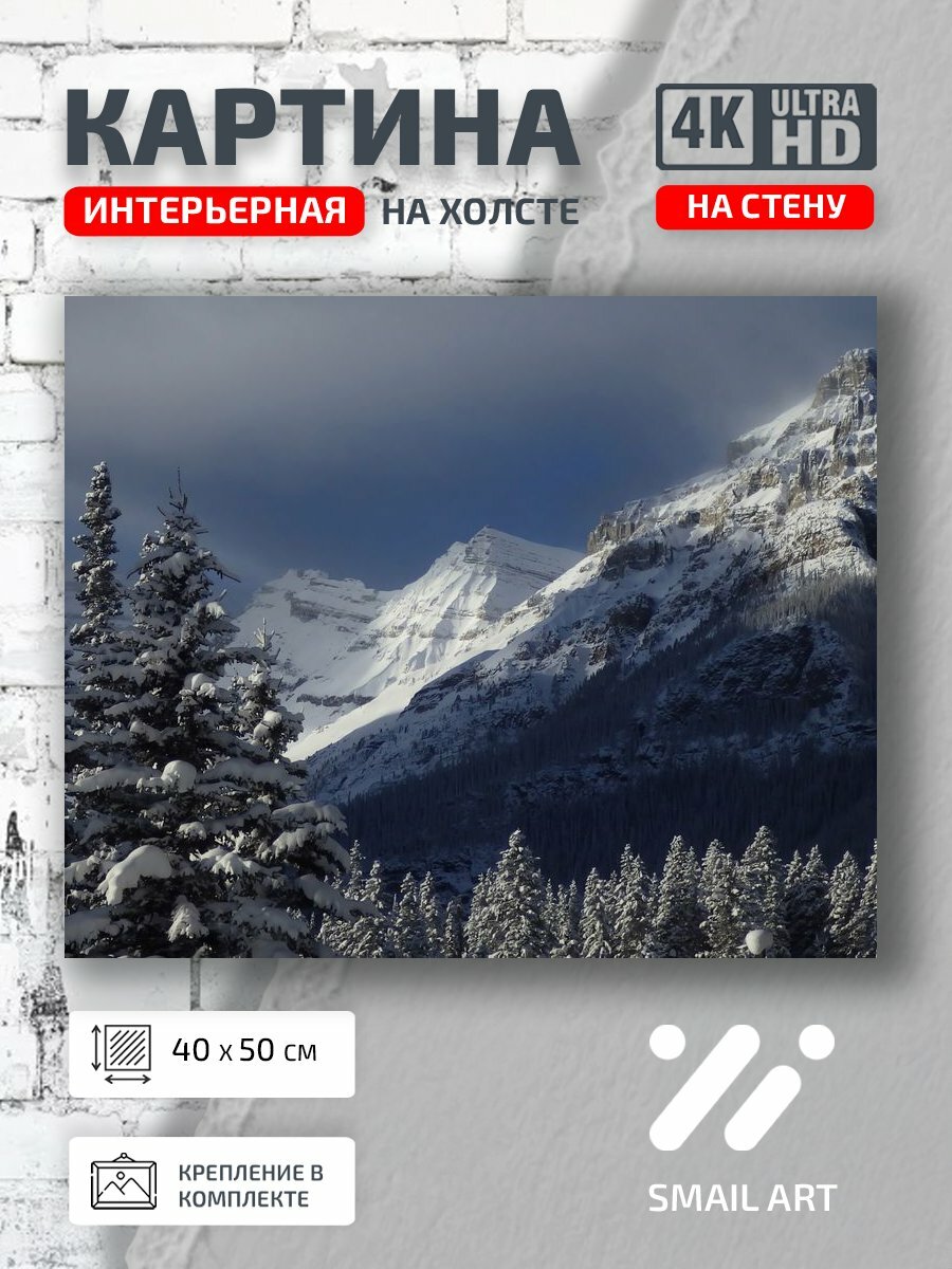 Картина на холсте интерьерная 40 на 50 на стену Снег Landscape для кабинета пейзаж интерьер