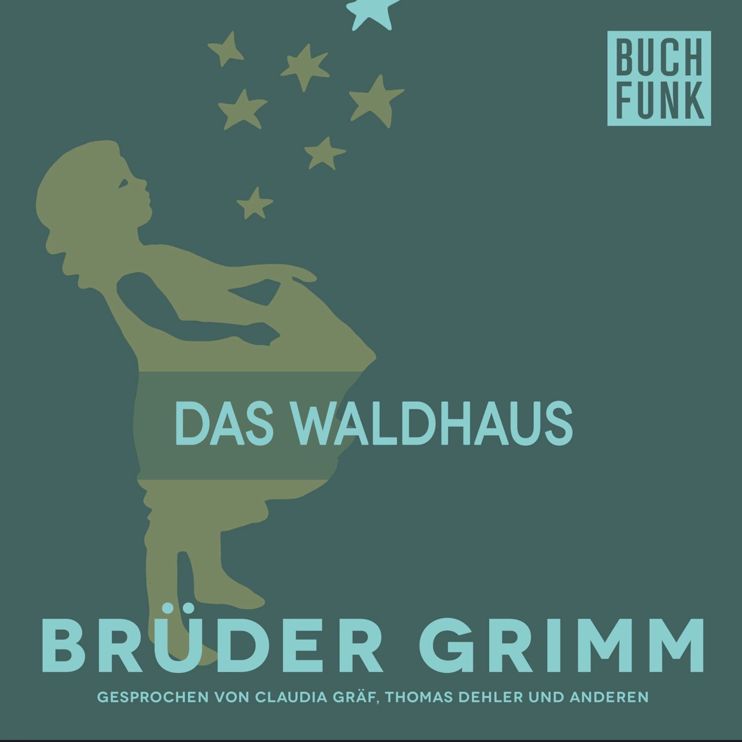 Das Waldhaus [Аудиокнига]