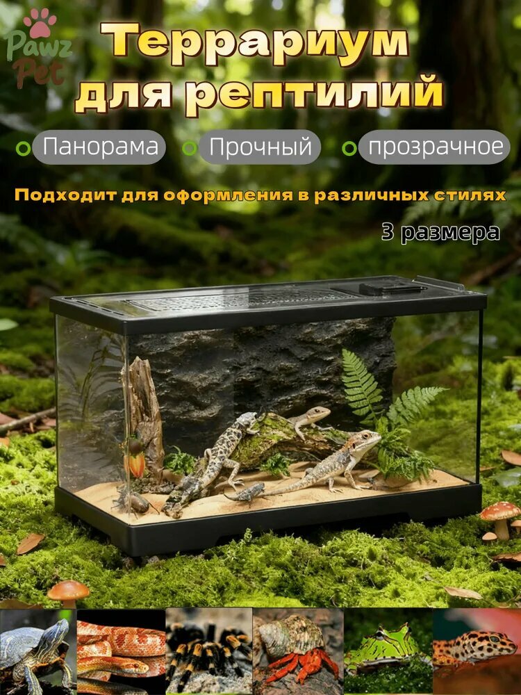 Террариум с крышкой для рептилий и амфибий: ящериц, змей, черепах, улиток, пауков. Прозрачный акриловый контейнер