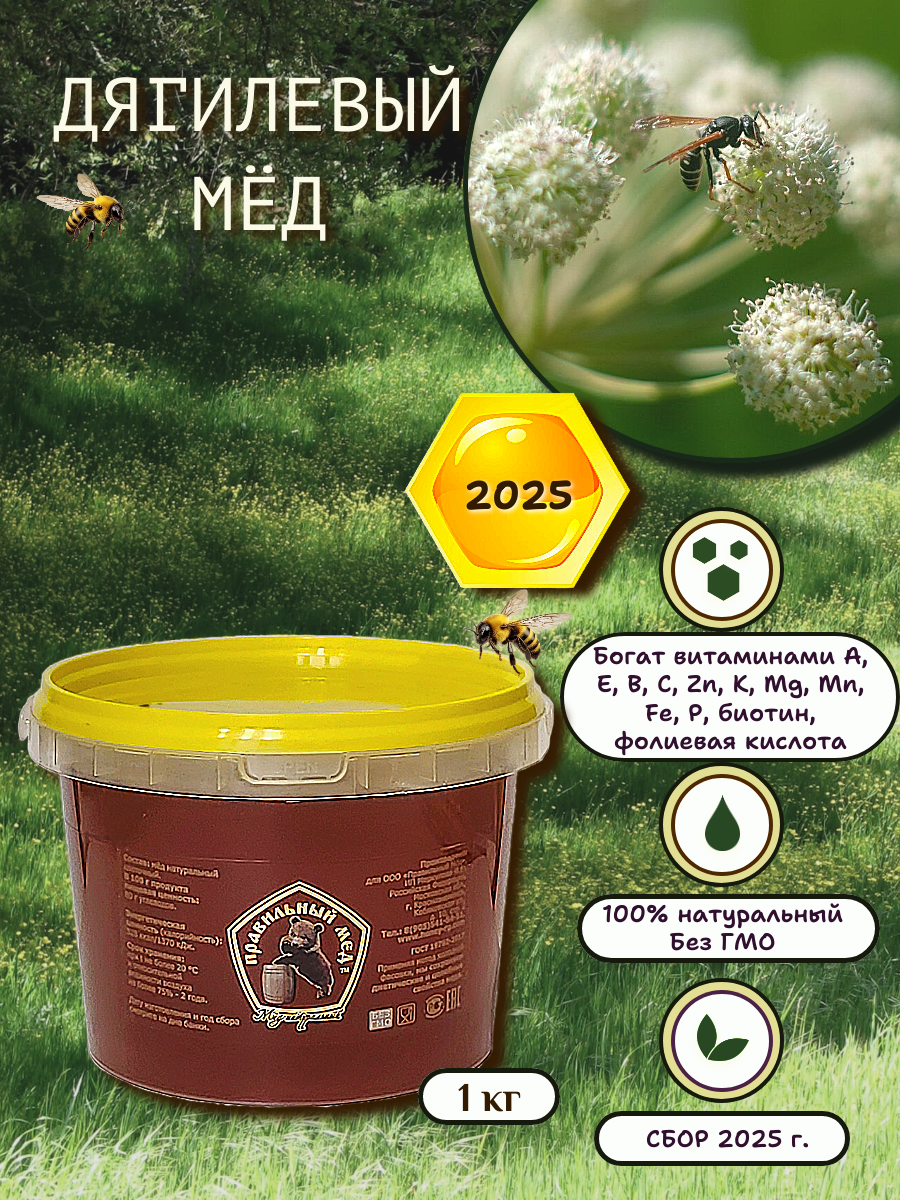 Мёд натуральный Дягилевый 1000гр. (сбор 2025г.), Правильный мёд