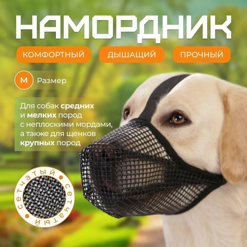 Намордник
