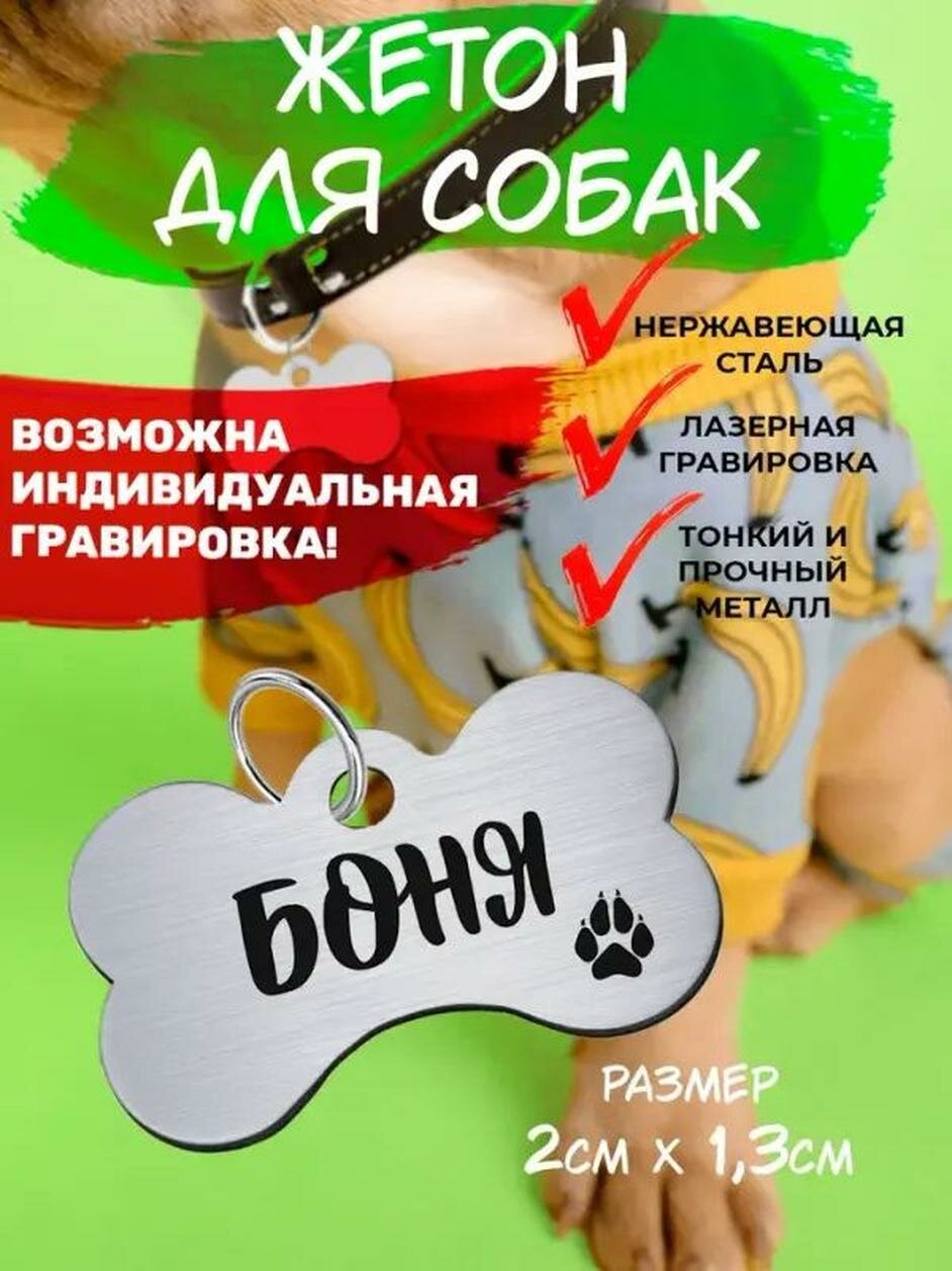 Адресник для собаки с гравировкой, нерж. сталь, серебристый, Боня