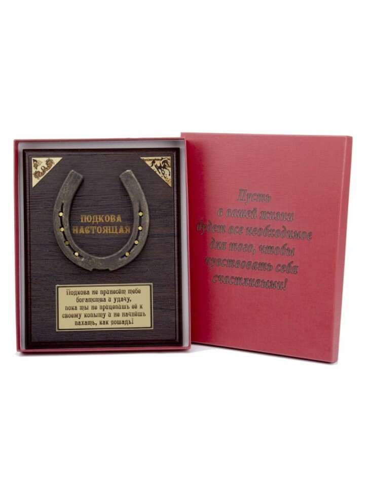 Подарочное панно "Подкова-мотиватор", 21x26 см, с металлической подковой