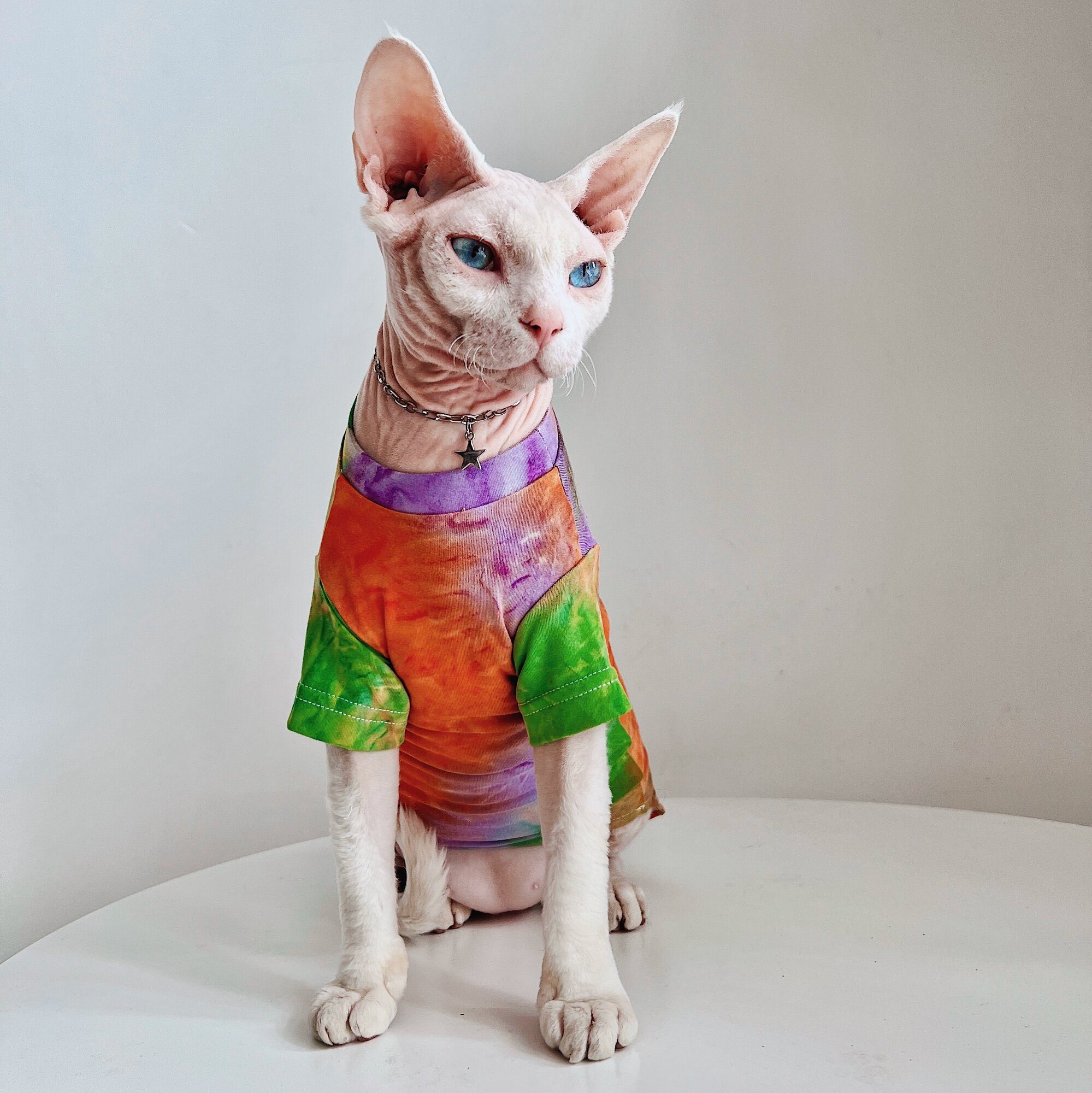 SPHYNX PLANET Летняя рубашка-футболка с тиснением в зелено-оранжевом цвете для маленьких кошек, легкая и