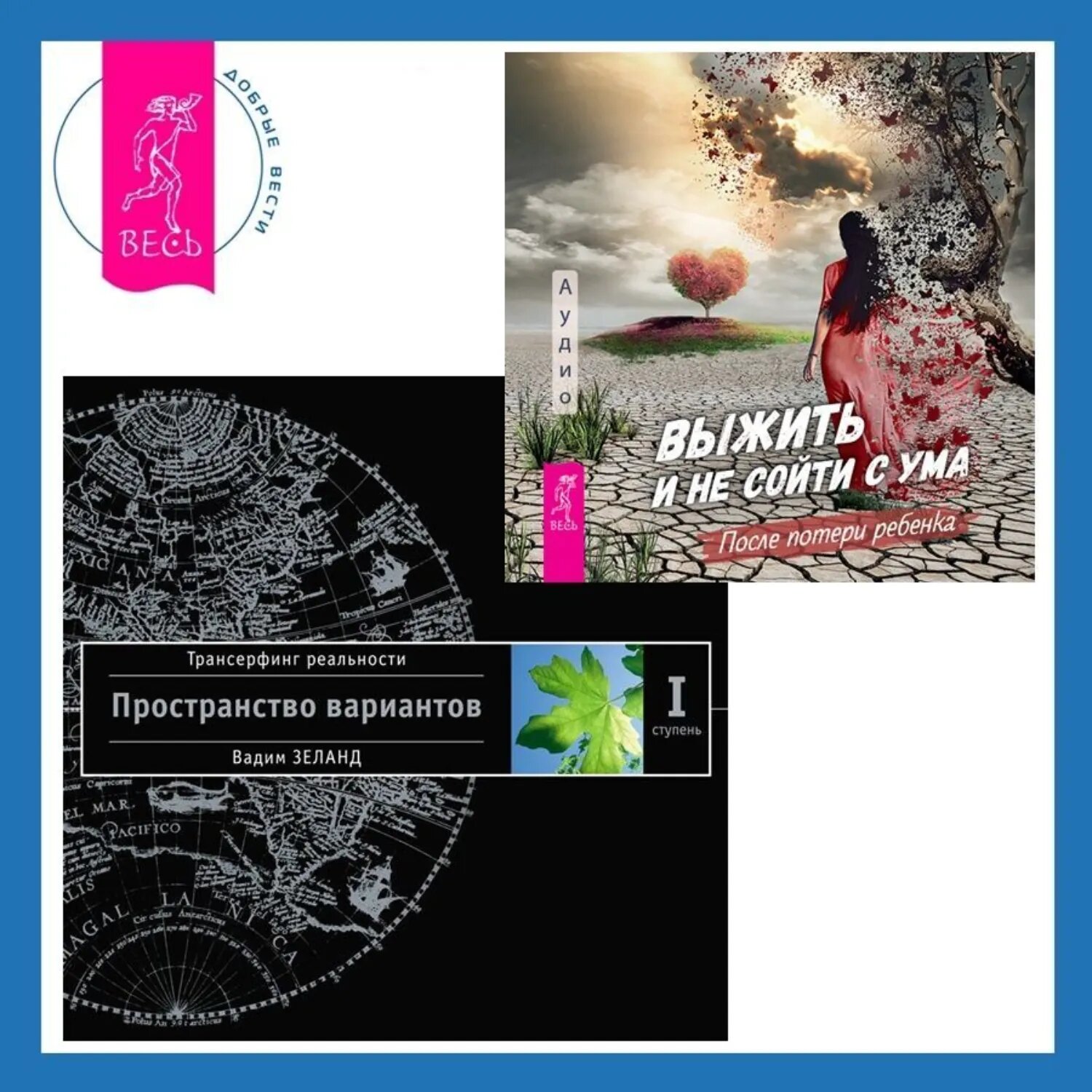 Выжить и не сойти с ума: После потери ребенка. Трансерфинг реальности. Ступень I: Пространство вариантов [Аудиокнига]