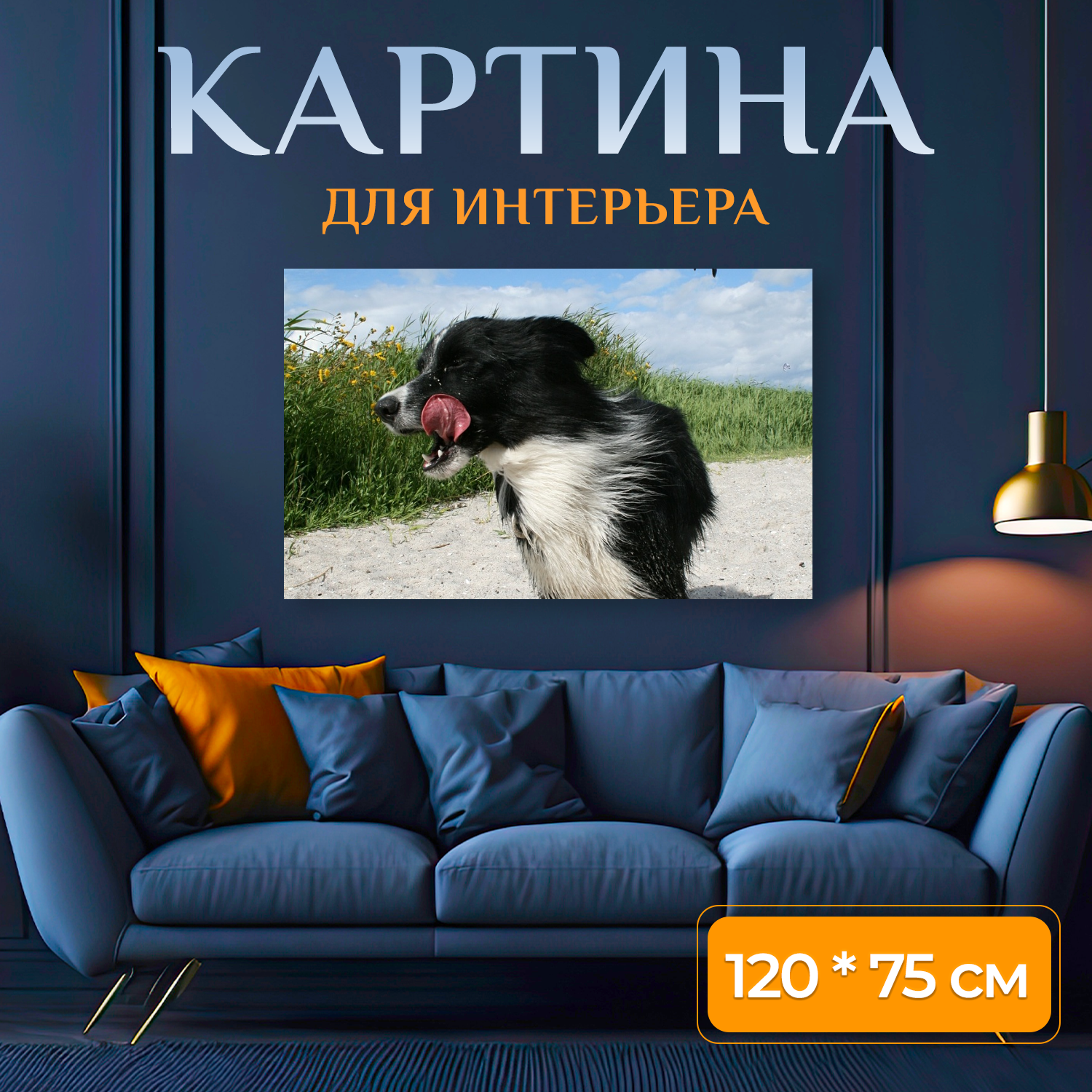 Картина на холсте "Бордер колли, собака, пляж" на подрамнике 120х75 см. для интерьера