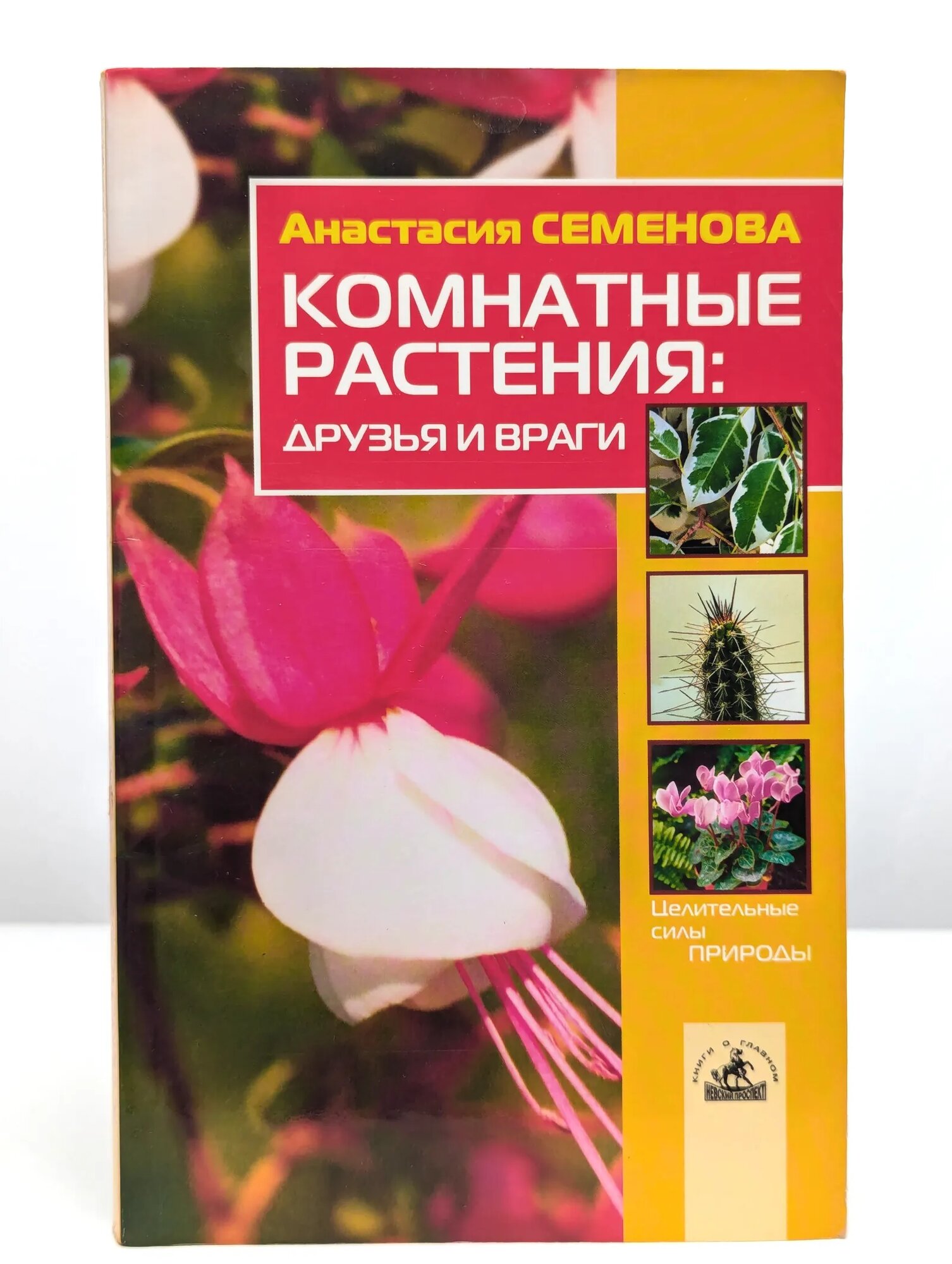 Комнатные растения. Друзья и враги Семенова Анастасия 2003