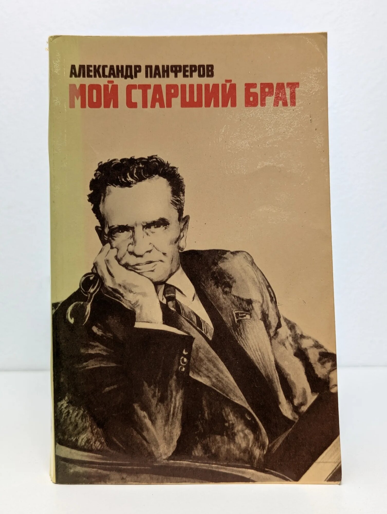 Мой старший брат. Штрихи жизни Ф. И. Панферова Панферов Александр Иванович 1980