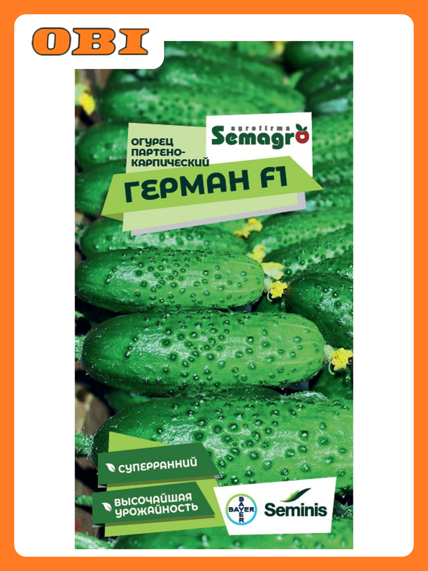 Семена огурца "SEMINIS Герман F1", гибрид, корнишон, партенокарпический, устойчив к болезням