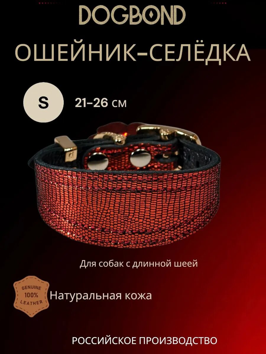 Dogbond ошейник-селедка для малых пород