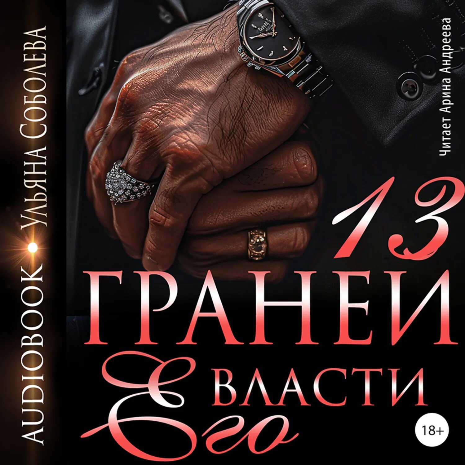 13 граней его власти [Аудиокнига]